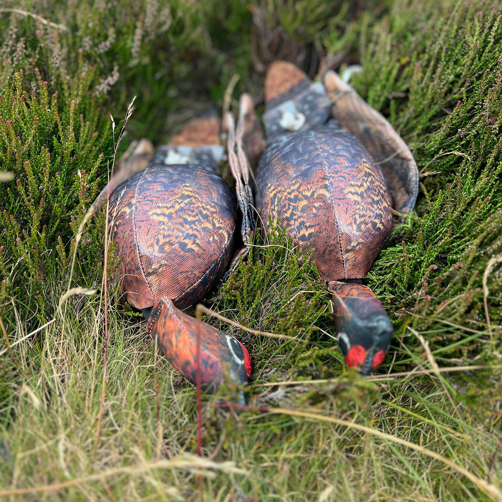 The Original Clone Dead Bird Grouse – Dog & Field EU