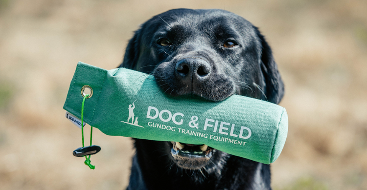 Dog and FieldEU – Dog & Field EU